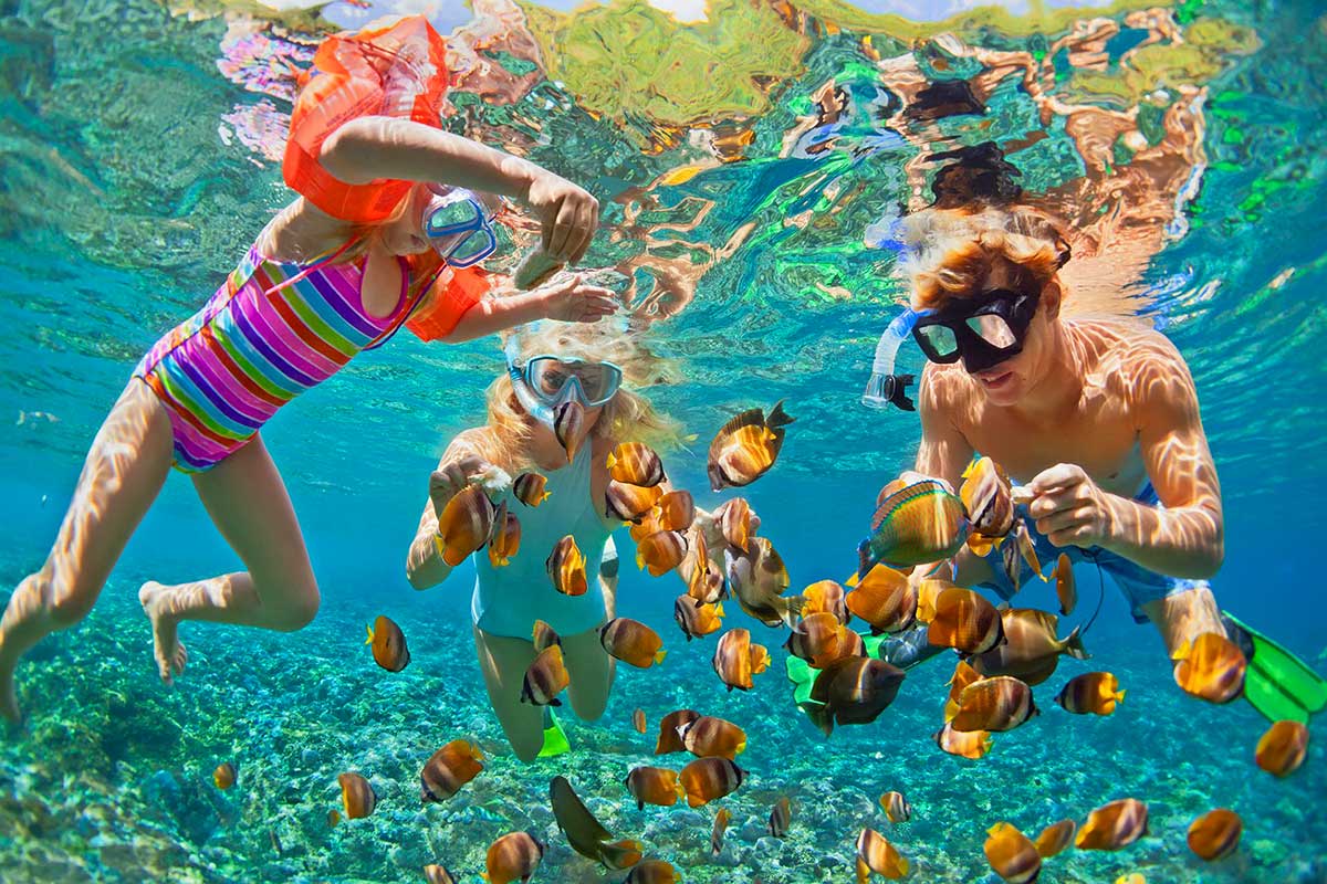 Discover Gamat Bay Nusa Penida: Bali's Best-Kept Secret For Snorkeling ...