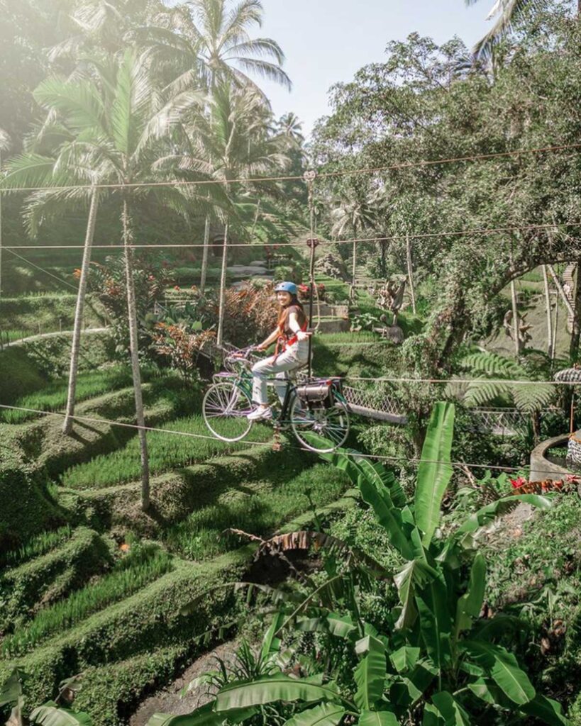 Experience The Rush With Flying Fox & Sky Bike - DISKOVERA